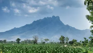 6 Fakta Menarik Gunung Pesawaran di Lampung yang Berdekatan dengan ...