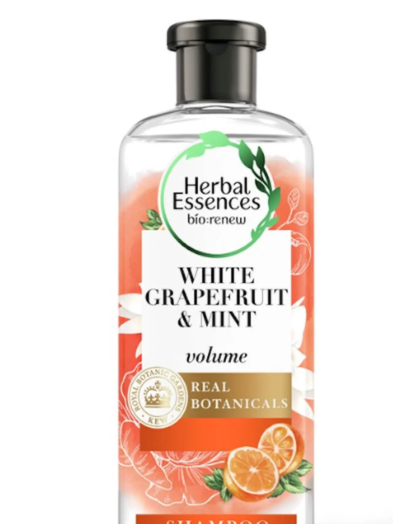 10 Rekomendasi Sampo Terbaik untuk Rambut Tipis Agar Terlihat Lebih ...