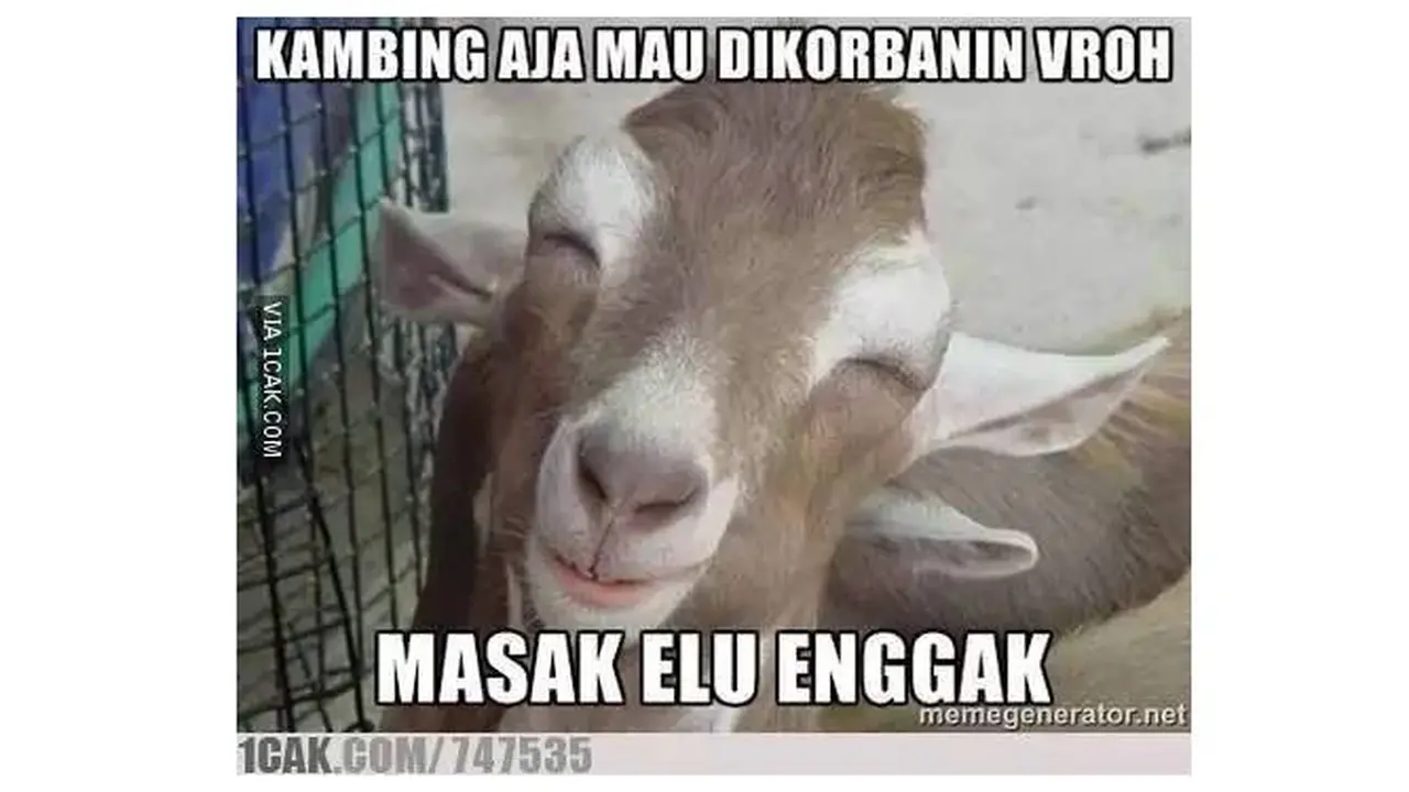 7 Meme Absurd Kambing Jelang Hari Raya Idul Adha Ini Kocak - Hot ...