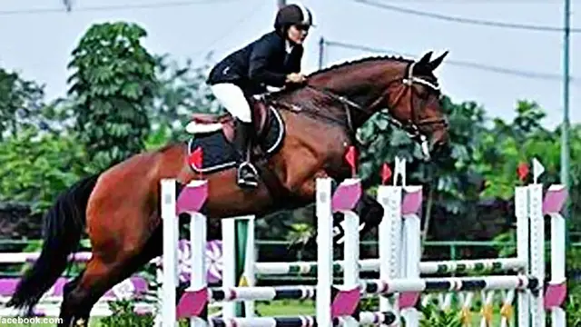 31 Atlet Berkuda Disiapkan untuk Sea Games - Bola Liputan6.com