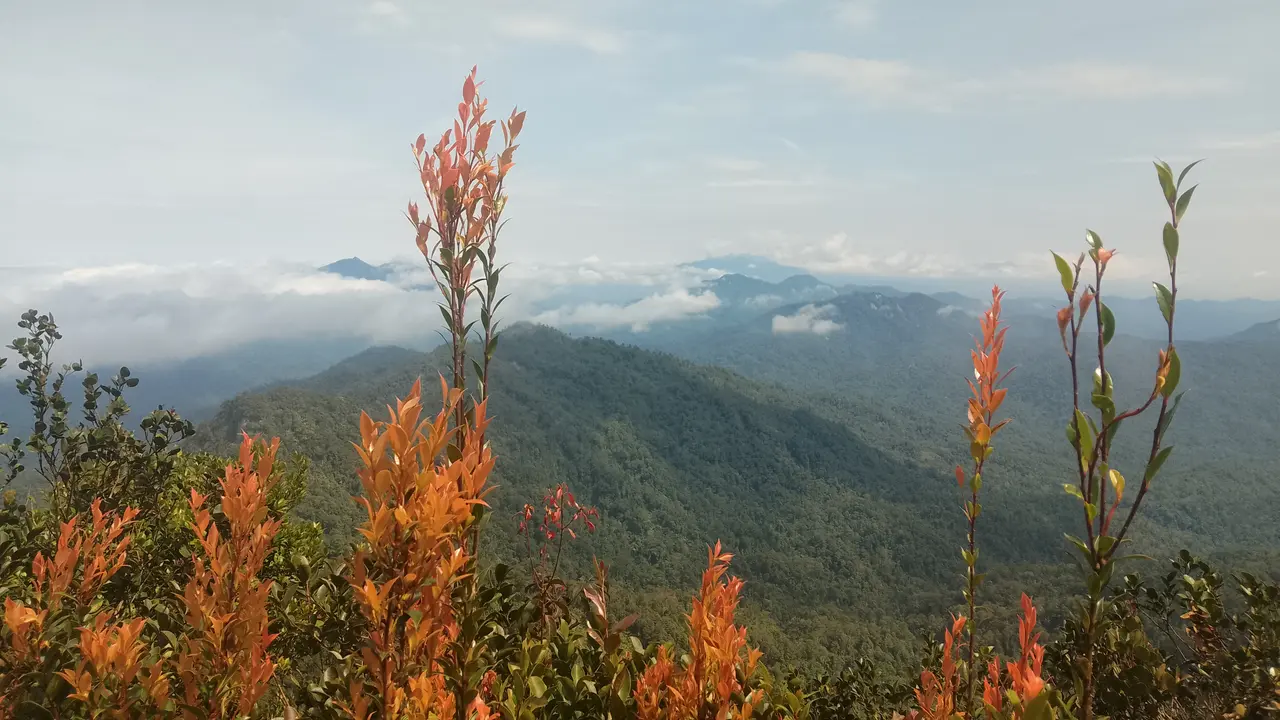 6 Fakta Menarik Gunung Besar Hantu di Negeri Sembilan Malaysia