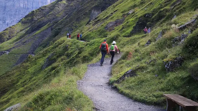 40 Kata-Kata Simple Keren tentang Udara Segar, Rahasia Hidup Sehat ...