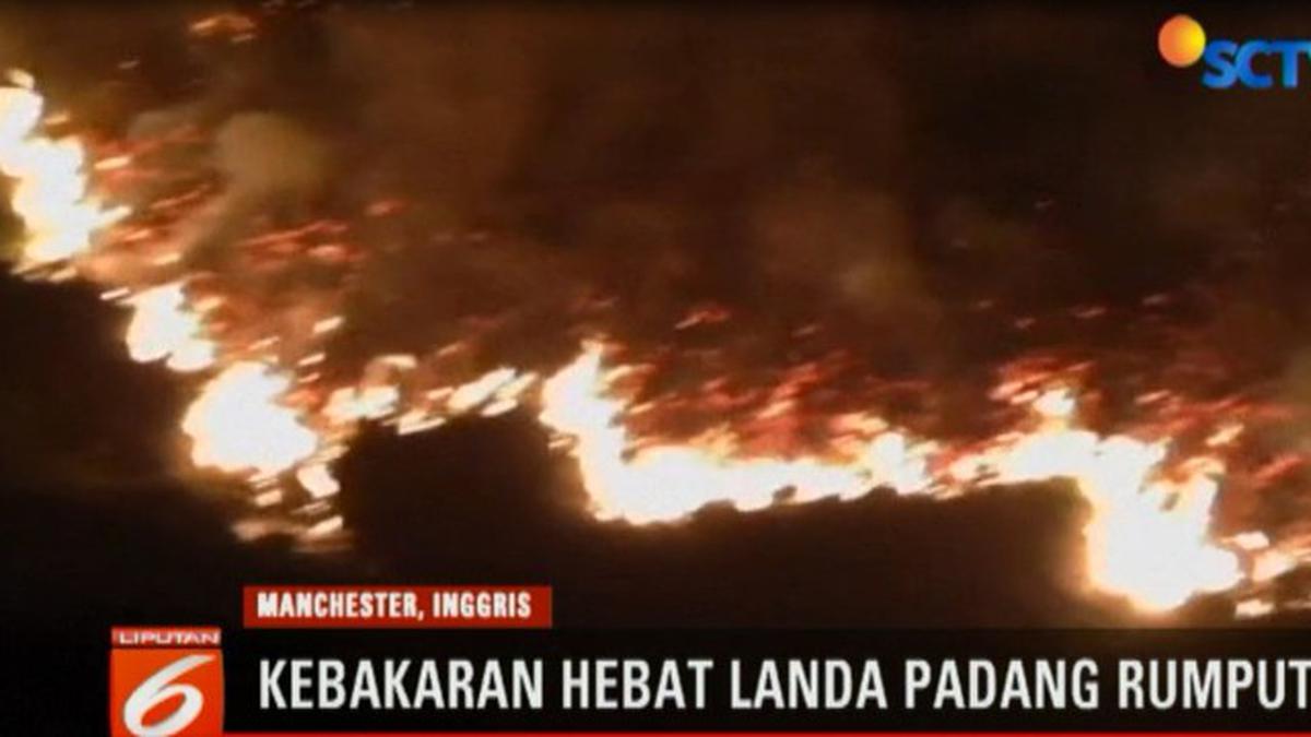 Kebakaran Hebat Melanda Padang Rumput Manchester Inggris - News Liputan6.com