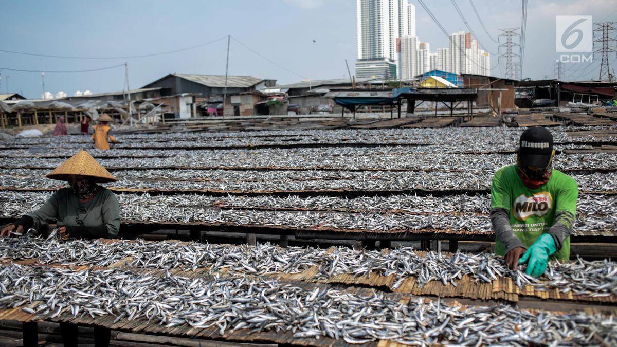 FOTO: Musim Penghujan, Produksi Ikan Asin Alami Penurunan - Foto ...