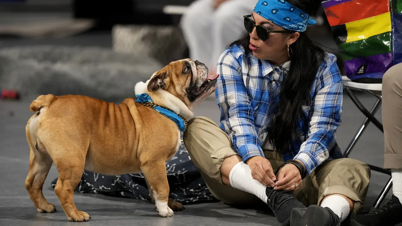 Air Liur Anjing Termasuk Najis Mughallazhah, Lengkap Cara Menyucikannya