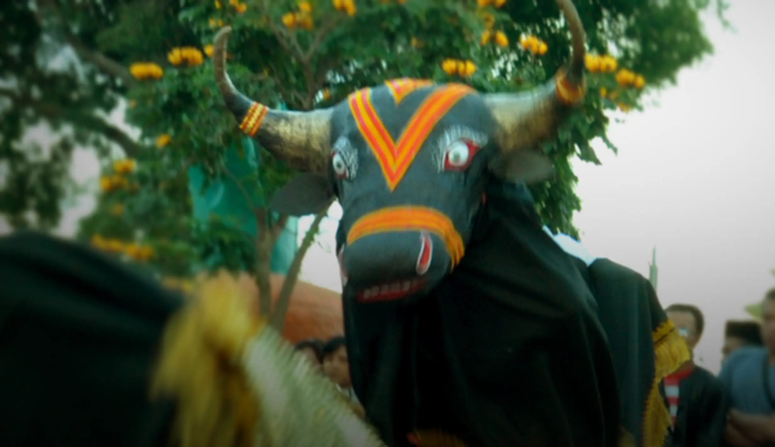 Bantengan Seni Khas Batu Malang - Foto Liputan6.com