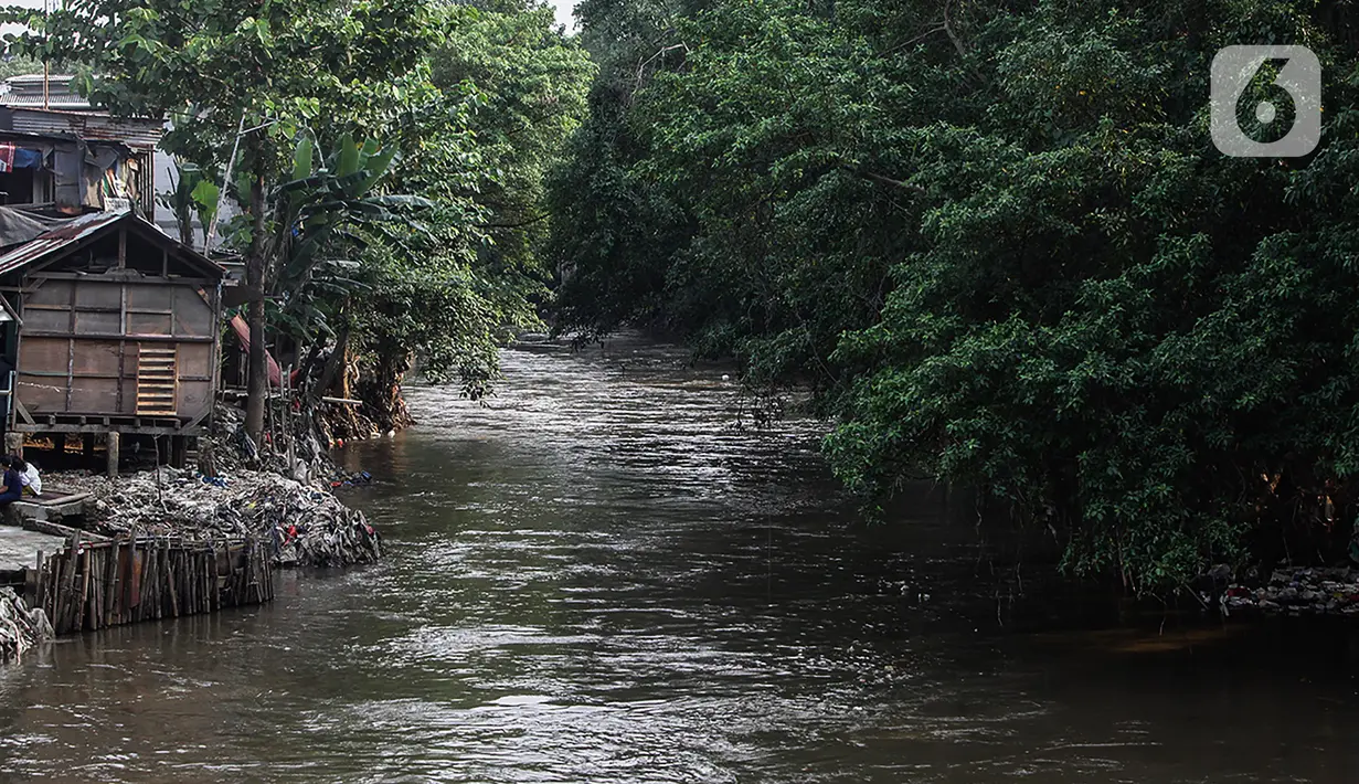 Normalisasi Sungai Ciliwung Terhambat Pembebasan Lahan - Foto Liputan6.com