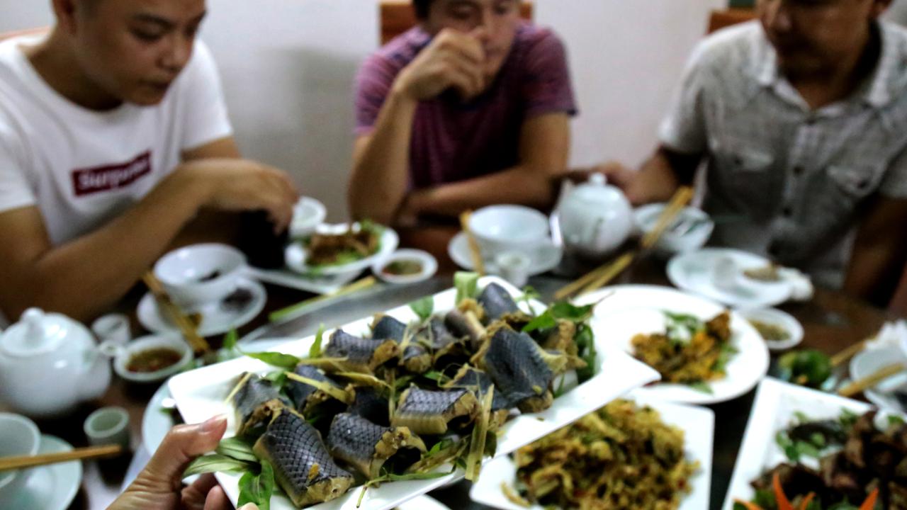 8 Kuliner Ular dari Berbagai Penjuru Dunia, Hidangan Ekstrem dan ...