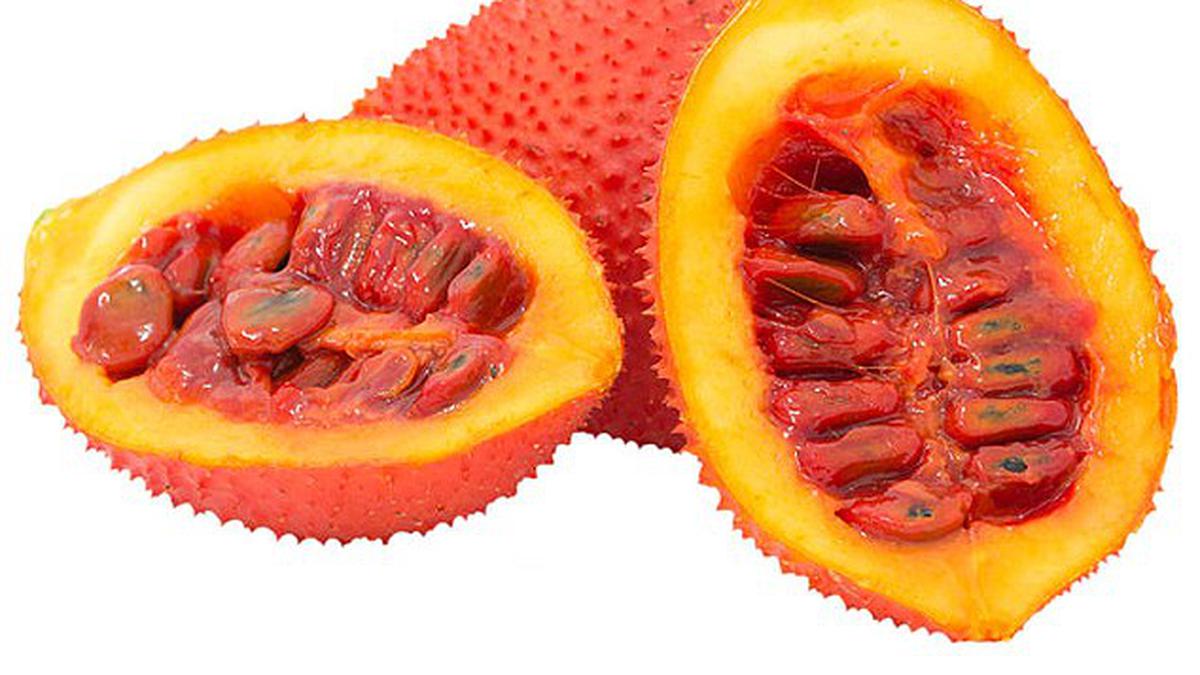 Meski Tampak Menakutkan, 4 Buah Ini Kandungan Vitaminnya Tinggi