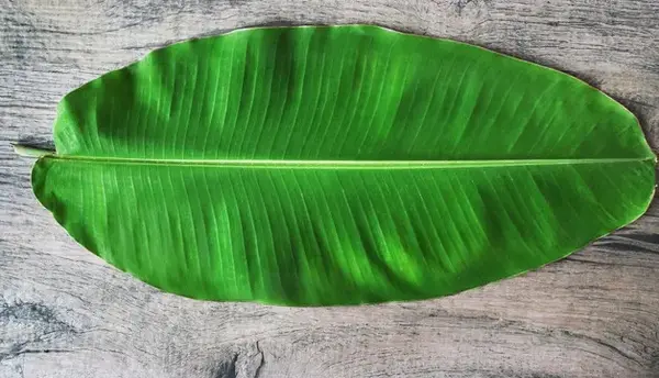 Cara Menanak Nasi Super Cepat di Rice Cooker, Cuma Butuh 10 Menit ...