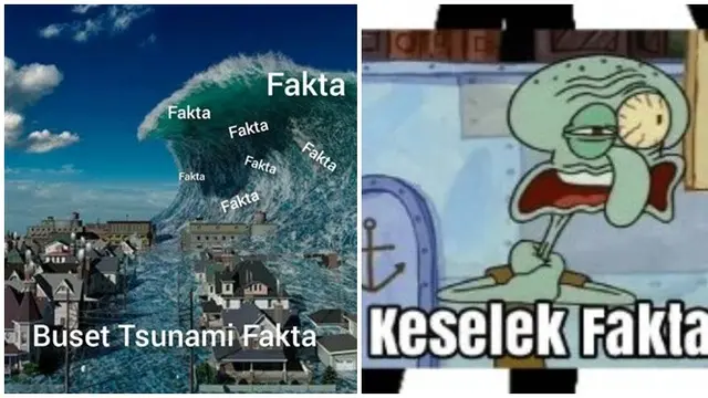 6 Meme Tsunami Fakta Ini Gambarnya Kocak, Tertampar Realita - Hot ...