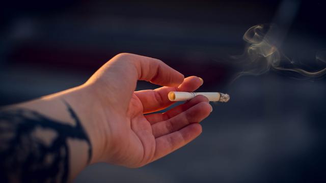 Perbedaan Nikotin dan TAR pada Rokok, Berikut Penjelasan Akademisi IPB ...