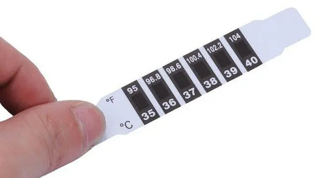 7 Macam Termometer untuk Ukur Suhu Badan, Ketahui Perawatannya - Hot ...