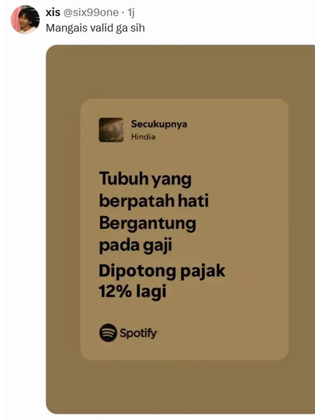 6 Meme Lirik Lagu PPN 12% Ini Bikin Senyum Tipis, 2025 Sebentar Lagi ...