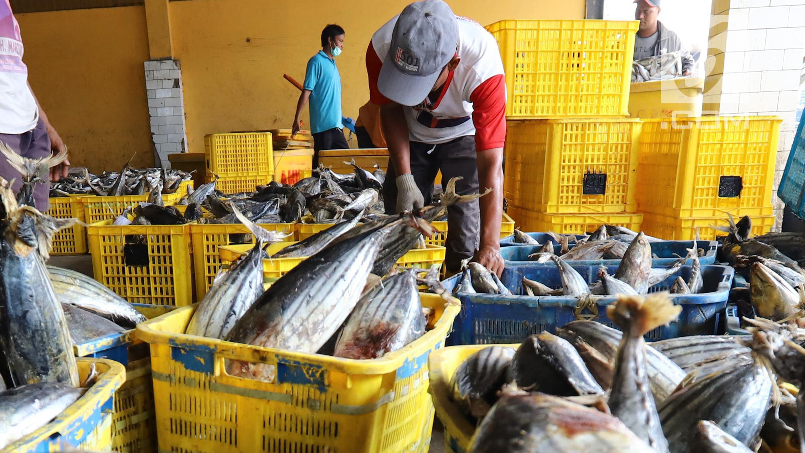 KKP Ungkap Peran Penting BUMN Serap Hasil Perikanan Nelayan