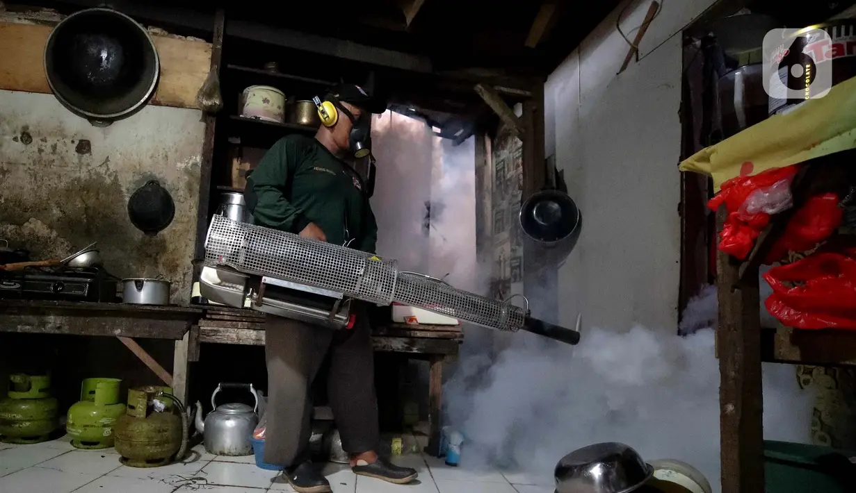 Cegah Penyebaran DBD, Petugas Lakukan Pengasapan - Foto Liputan6.com