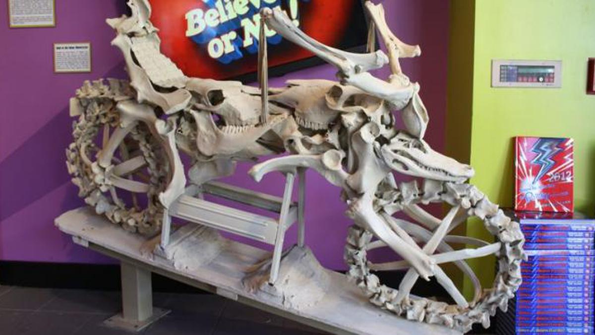 Motor Ini Terbuat dari Tulang Kambing - Global Liputan6.com