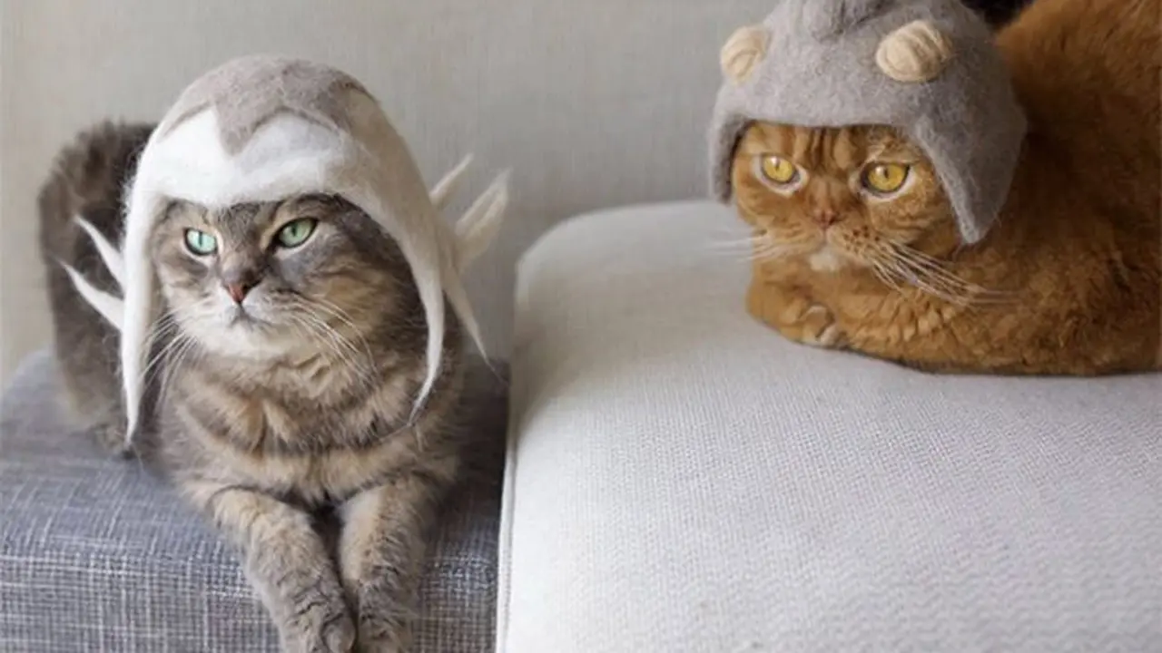 7 Potret Kucing Pakai Topi Lucu Ini Menggemaskan, Dibuat dari Bulu ...