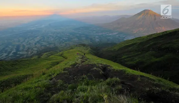 Mengenal Tifa Lenso, Alat Musik Tradisional Menjadi Bagian Penting dari ...