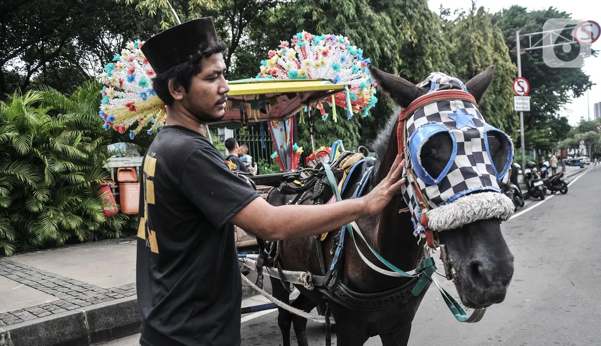 Larangan Operasional Delman di Monas - Foto Liputan6.com