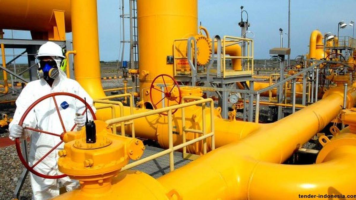 Pembangunan Pipa Gas RI Jalan di Tempat - Bisnis Liputan6.com
