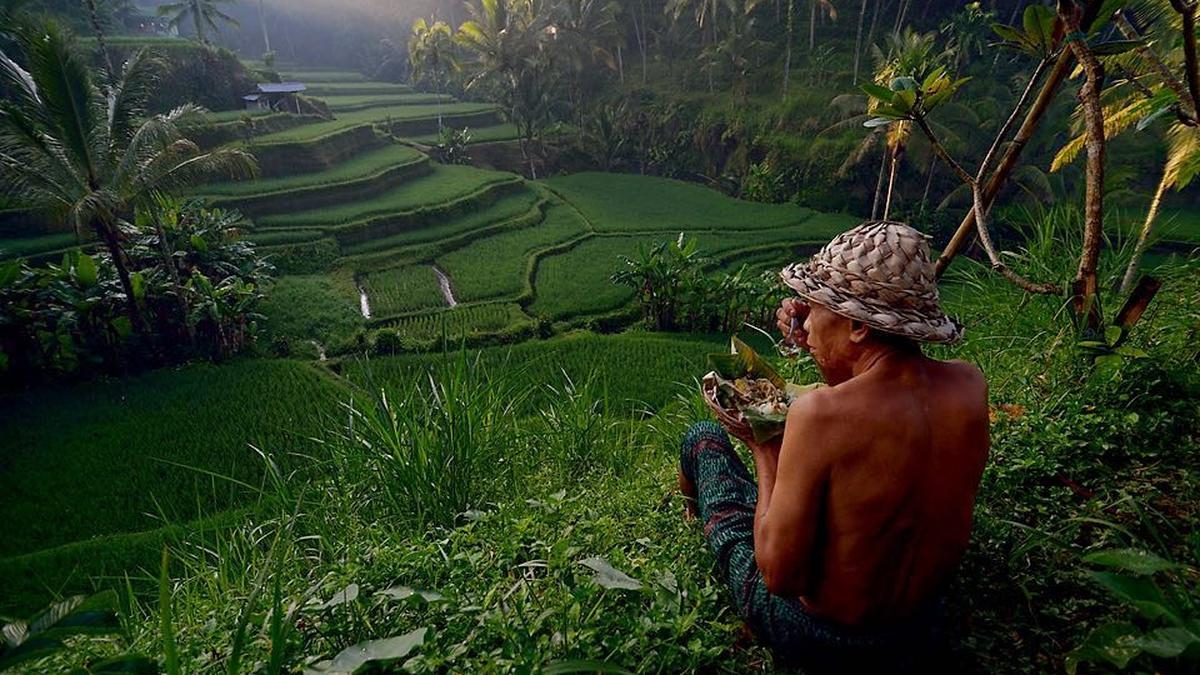 Menikmati Keindahan Pemandangan Sawah Terasering Ceking di Bali - Regional Liputan6.com