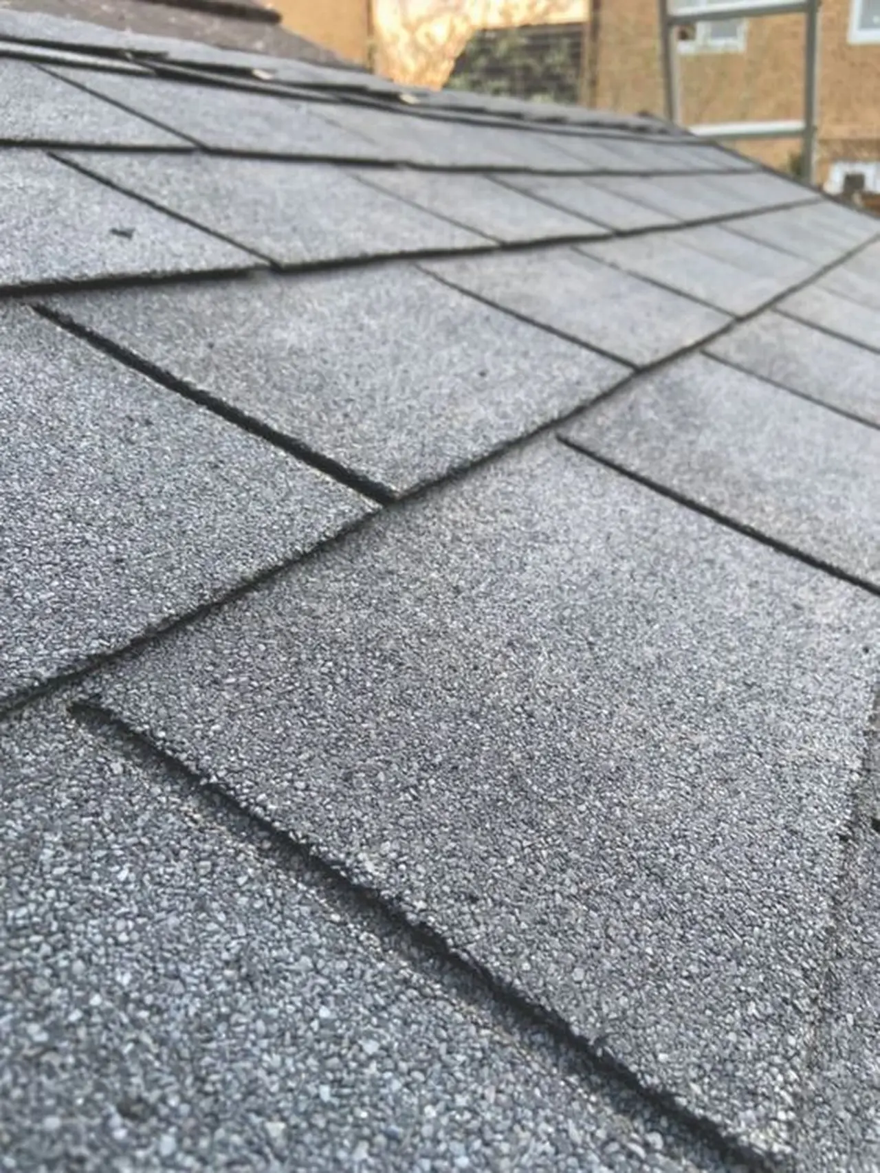 7 Rekomendasi Jenis Atap Rumah yang Bawa Nuansa Dingin, Hunian Jadi ...