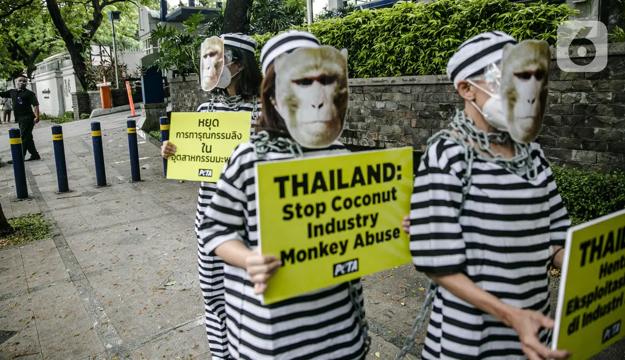 FOTO: Aksi Mengecam Eksploitasi Hewan di Kedubes Thailand - Foto ...
