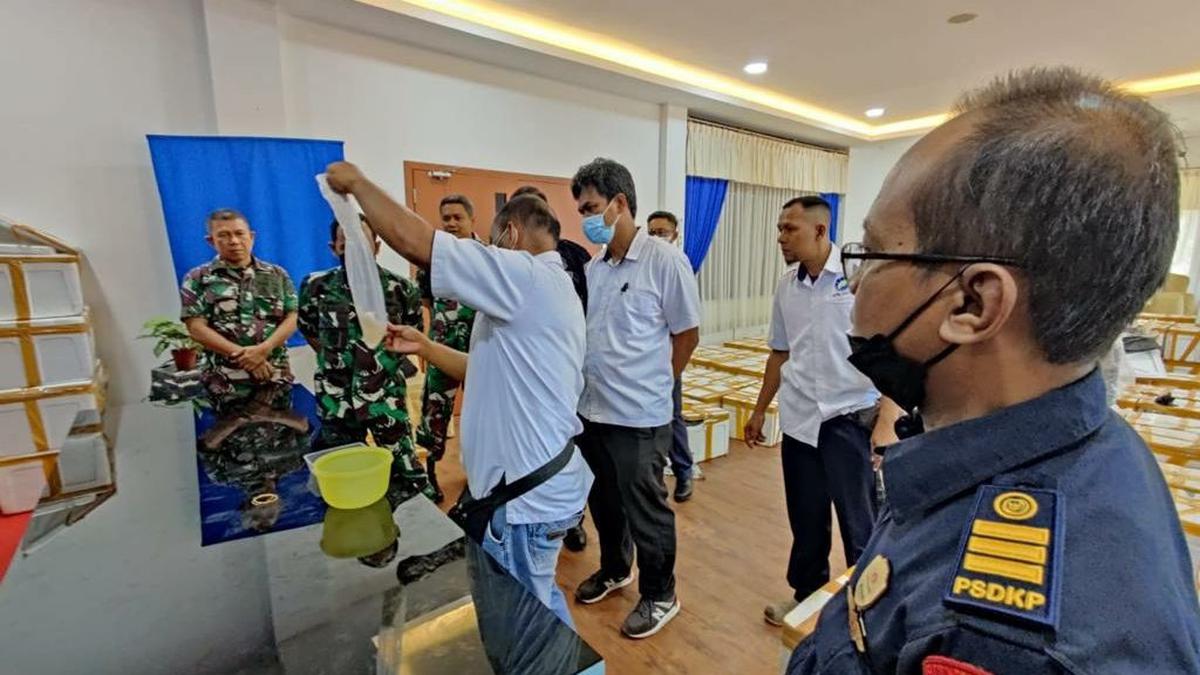 KKP dan TNI AL Gagalkan Penyelundupan Benih Bening Lobster di Batam Senilai Rp 46 Miliar ...