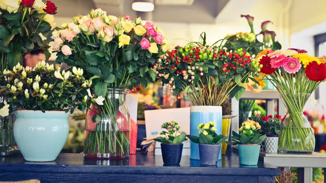 9 Cara Merangkai Bunga Mudah dan Simpel, Cocok untuk Pemula - Hot ...