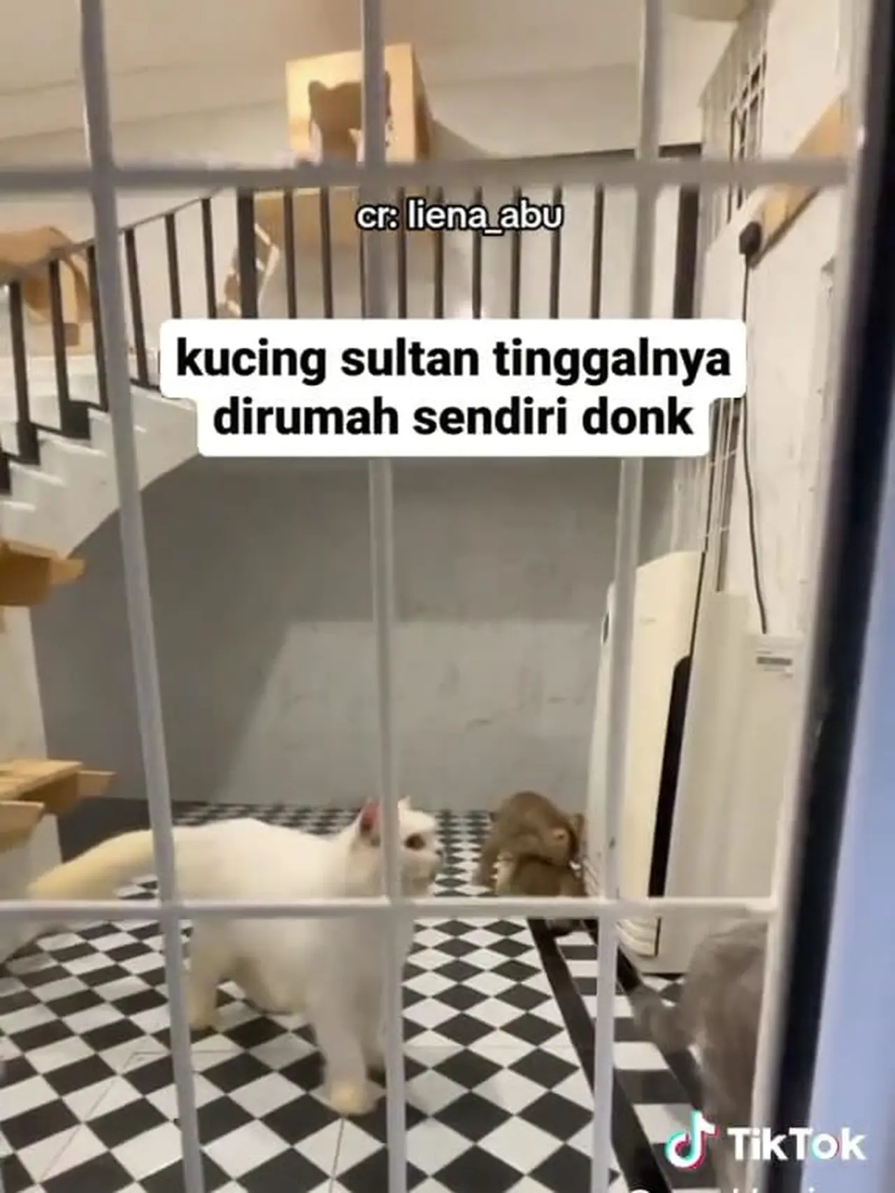 7 Potret Rumah Kucing Bak Istana Sultan Ini Bikin Iri, Mewah Ada CCTV ...