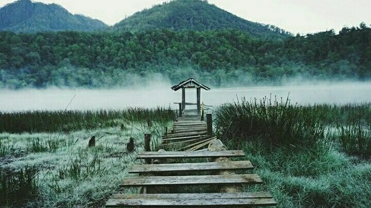 Legenda Gunung Argopuro: Tempat Bersemayam Dewi Rengganis dan Hutan ...