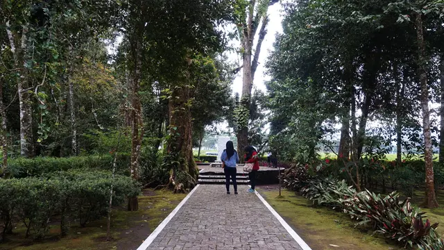 Jejak Mulia dan Kisah Mistis Bosscha, Sang Raja Teh Priangan - Regional ...