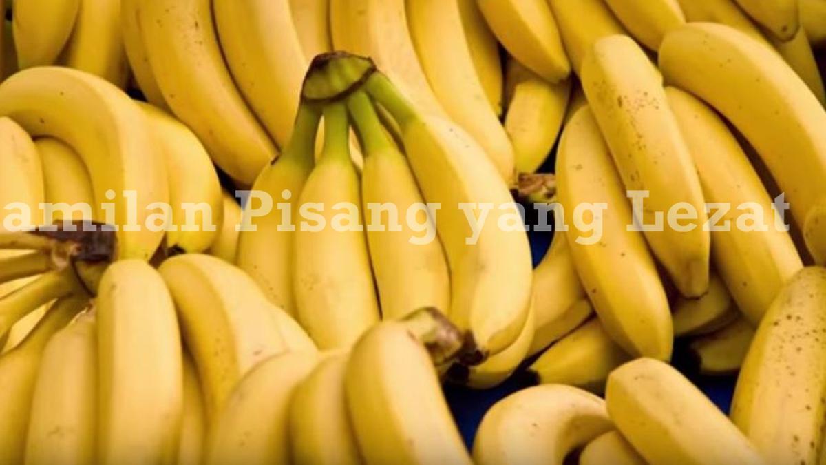 Resep: Bikin Camilan Pisang yang Lezat dan Gampang untuk Sarapan
