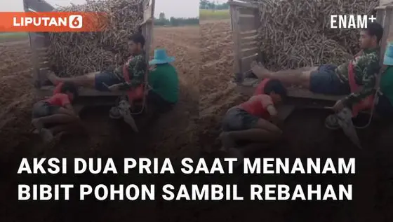 VIDEO: Mirip Seperti Kangguru, Ini Dia Lau Lau Hewan Asli Indonesia
