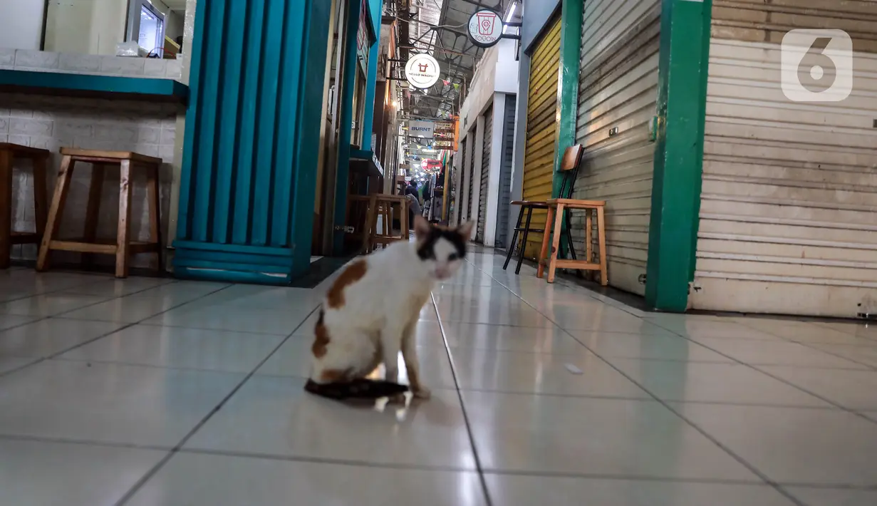 Tak Mampu Bayar Biaya Operasional, Banyak Kios di Pasar Santa Kini ...