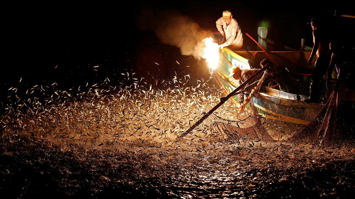 Cara Unik Nelayan Taiwan Pancing Ikan Menggunakan Api - Foto Liputan6.com