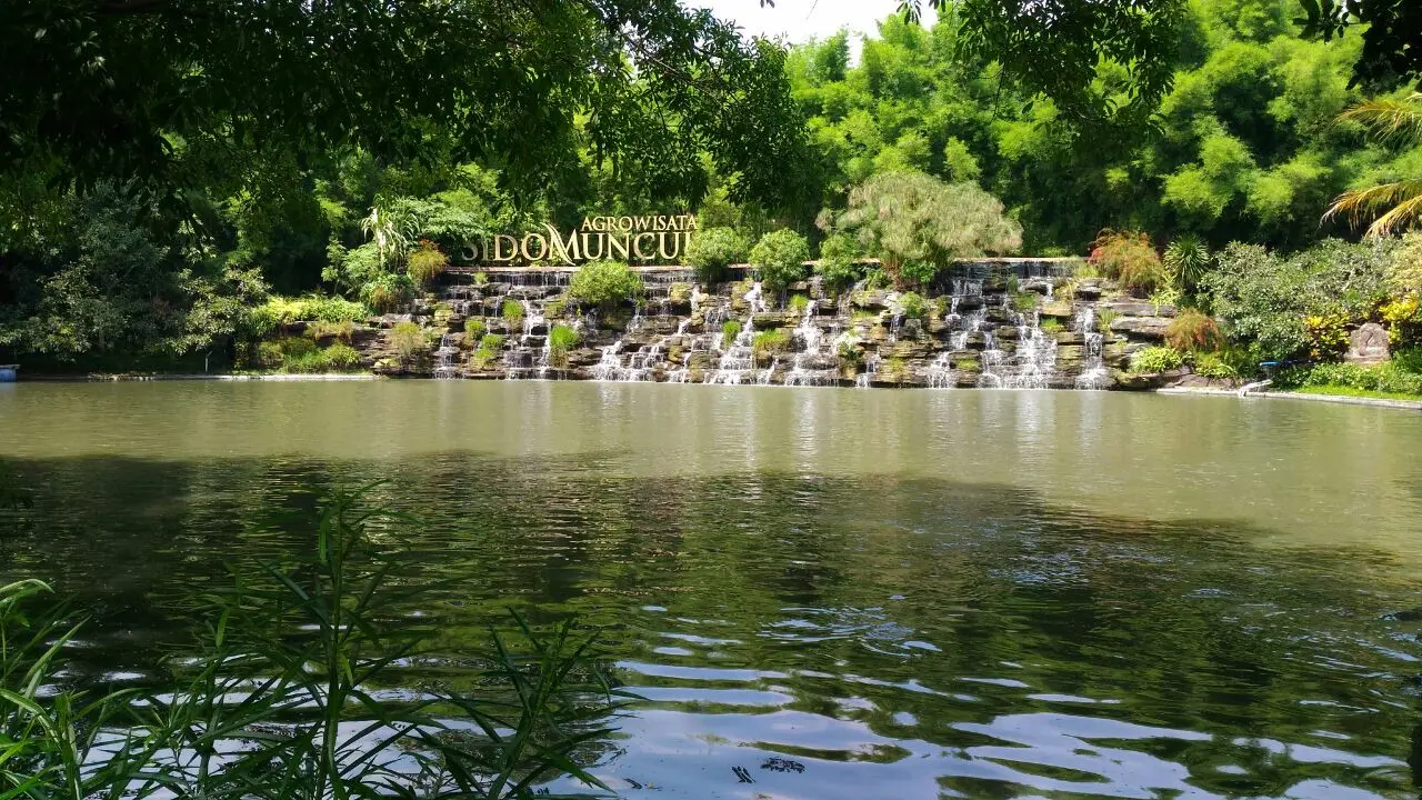 Mengenal Jamu Sehat Pria dari Sido Muncul, Bermanfaat Jaga Kesehatan ...