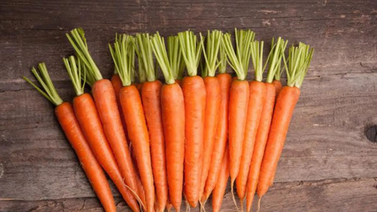 5 Manfaat Wortel Bagi Kesehatan Tubuh dan Kecantikan Kulit - Ragam Bola.com