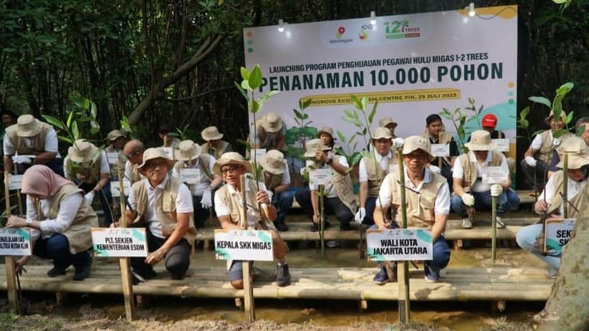 SKK Migas Luncurkan Program One Two Trees, Target Tanam 2 Juta Pohon di ...