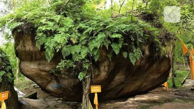Bukit Tangkiling dan Legenda Sangkuriang ala Dayak - Regional Liputan6.com
