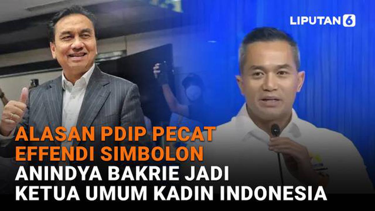 Alasan PDIP Pecat Effendi Simbolon, Anindya Bakrie Jadi Ketua Umum ...