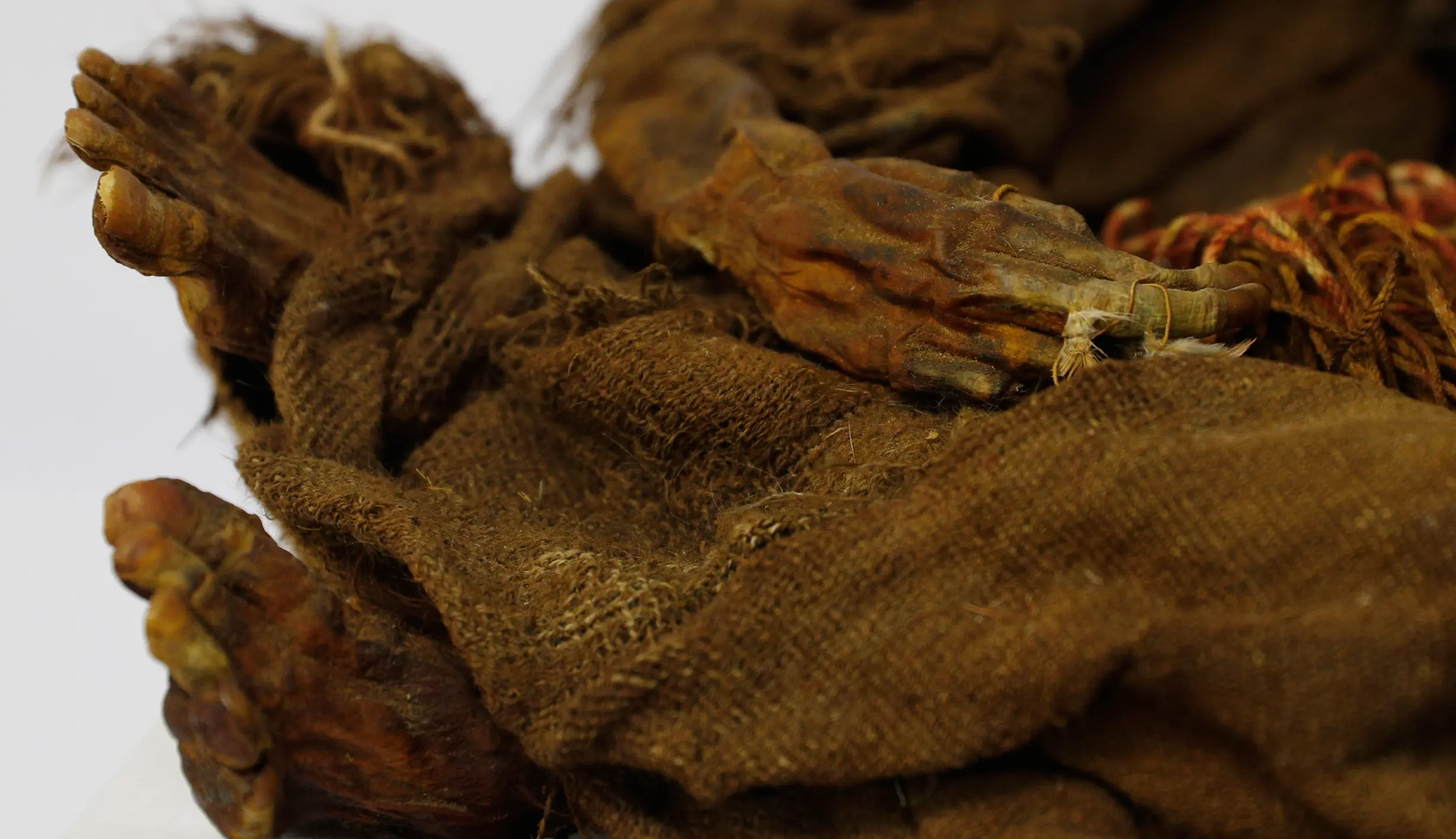 FOTO: Penampakan Mumi Gadis Inca Berumur 500 Tahun - Foto Liputan6.com