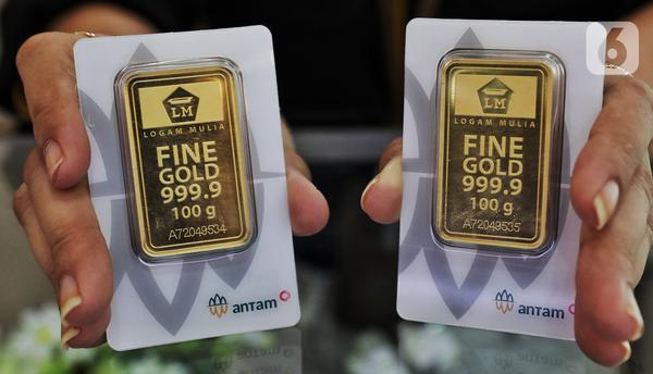 Buruan Daftar! Danone Buka Lowongan Kerja Global Lewat Program MT STAR 2026