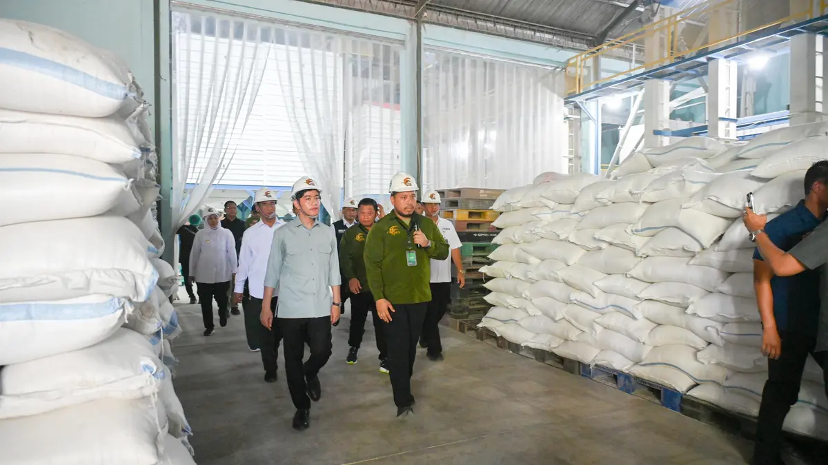 Berita pabrik pengolahan beras Hari Ini - Kabar Terbaru Terkini ...