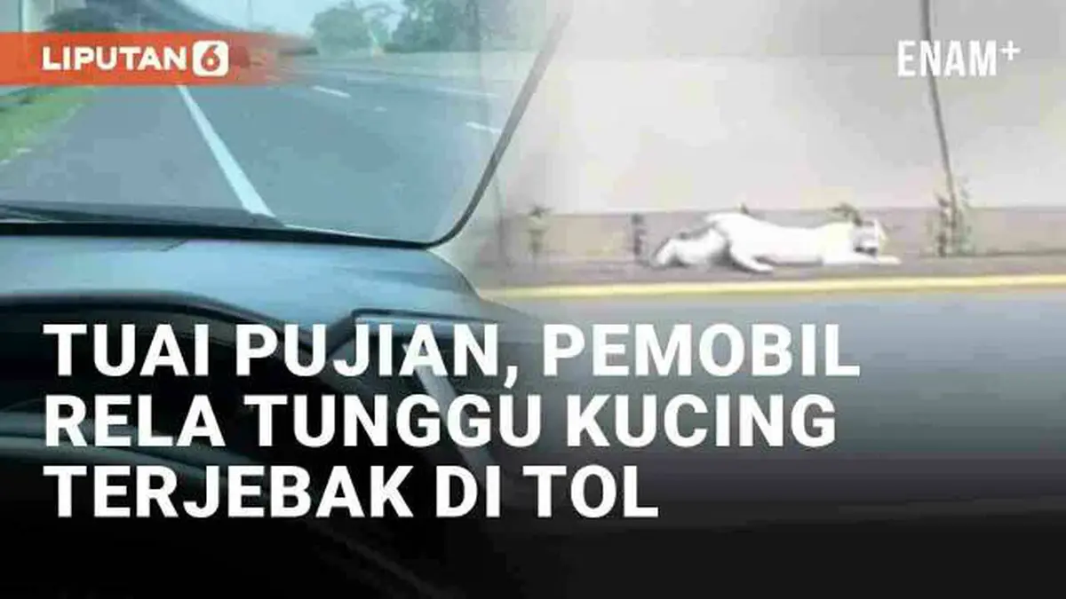 Berita tol baros Hari Ini - Kabar Terbaru Terkini | Liputan6.com