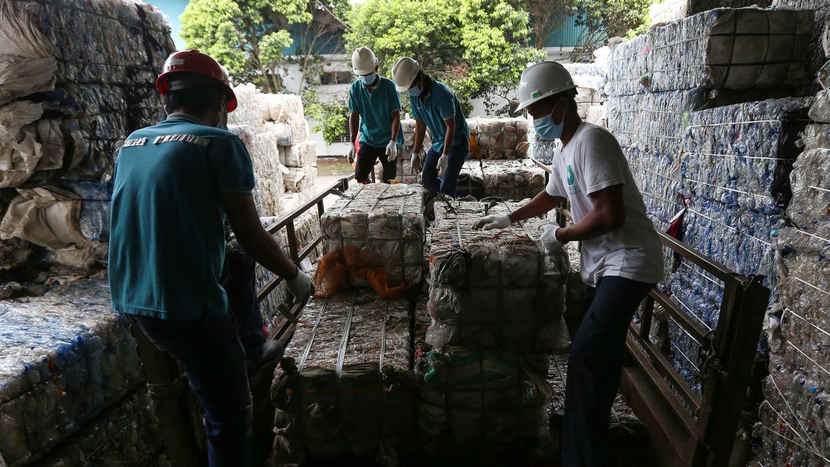 Kolaborasi Tridi Oasis dan Bank DBS Indonesia Ciptakan Indonesia Bebas ...