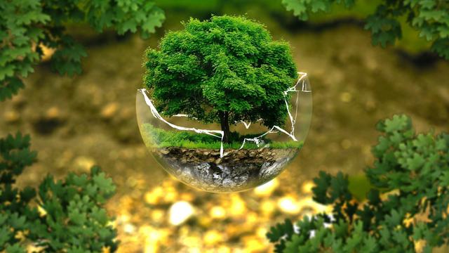 Apa yang Dimaksud dengan Ekosistem? Ini Pengertian, Fungsi, dan Jenisnya