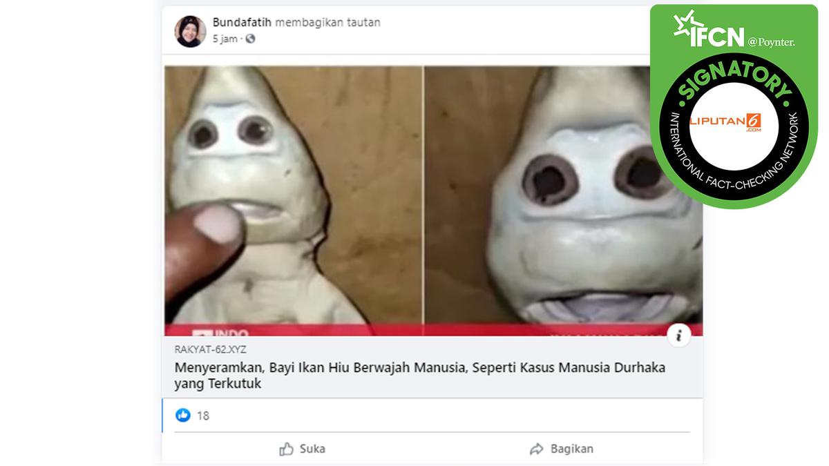 Cek Fakta: Heboh Bayi Hiu Berwajah Manusia Disebut Anak Durhaka, Simak ...