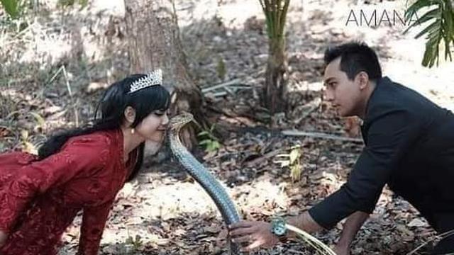 6 Prewedding Ekstrem Tema Ular Ini Bikin Merinding, Enggak Habis Pikir - Hot Liputan6.com